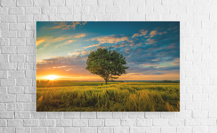 5 Themes for Stunning Gallery Wall Landscape Canvas Prints - Canvas ...